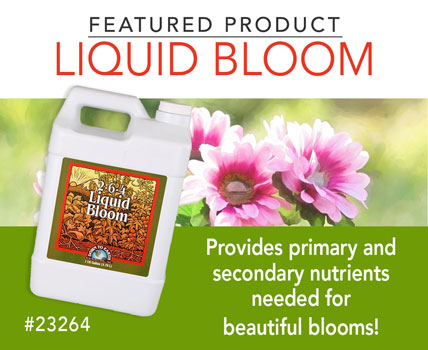 DOWN TO EARTH DISTRIBUTORS, INC. [current-page]