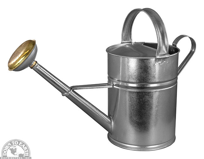 ~galvanized Water Can 6l | Down to Earth Distributors Inc.