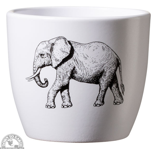 Sk Elephant 3" White | Down to Earth Distributors Inc.
