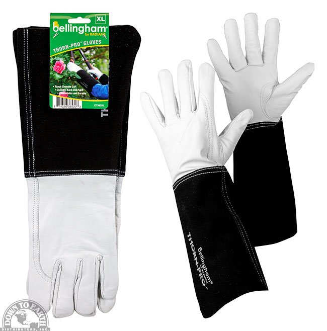 Thorn Pro Gauntlet Xtra-large | Down to Earth Distributors Inc.