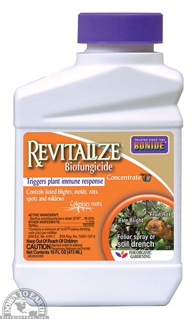 Revitalize 16ozconc | Down to Earth Distributors Inc.