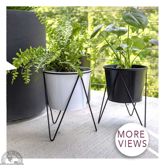 Wire Stands With 8" Planter | Down to Earth Distributors Inc.